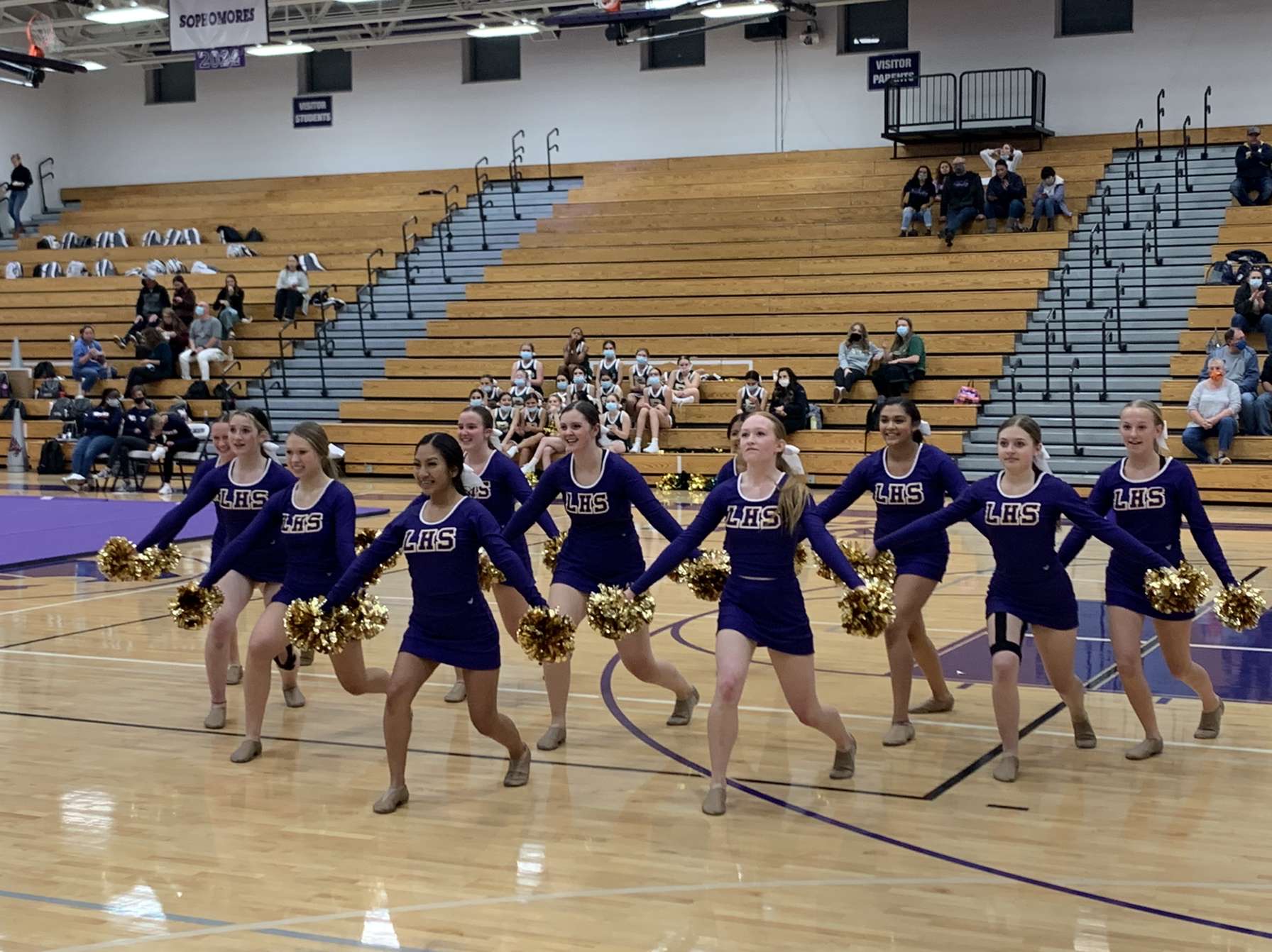 LHS Lionettes make a comeback after a performance-lacking year – Lions ...